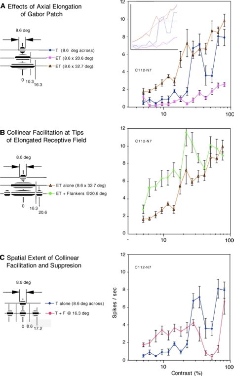 The Spatial Extent Of Collinear Facilitation And Suppression Tested