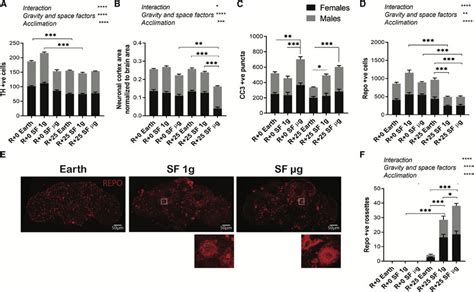 Persistent Effects Of Spaceflight A D Stacked Bar Plots Showing Download Scientific Diagram
