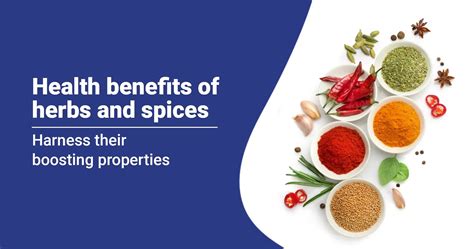 15 Powerful Herbs And Spices List Names And Types Examples Of Herbs