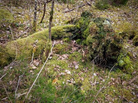 Randonnées Pédestres Et Balades Nature 77 Seine Et Marne Vivre En