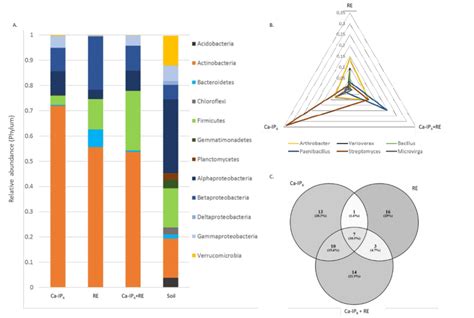 Community Composition Based On 16s Sequence Analysis And Otu Similarity Download Scientific