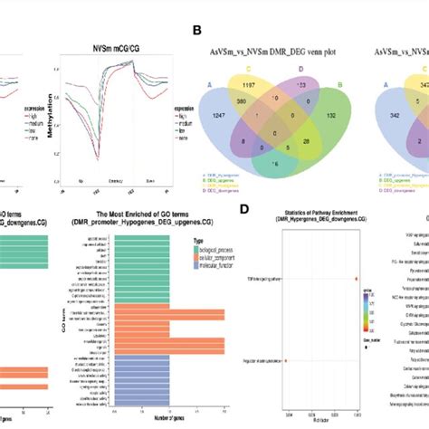 Regulation Of Methylation Modification On Gene Expression Level A Download Scientific