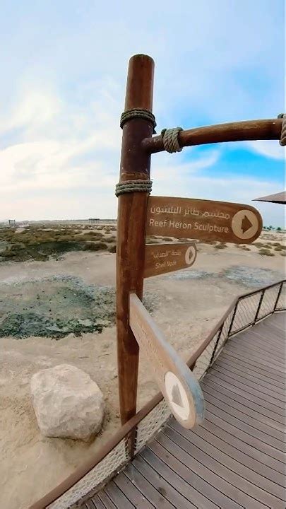 Insta360 Flash Cut Fypシ Viral Shortvideo Abudhabiattractions