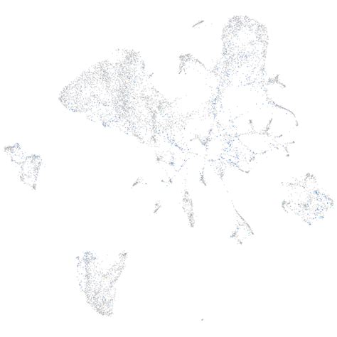 Pdcd2 Endoderm Daniocell