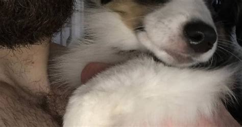 Story Time Album On Imgur