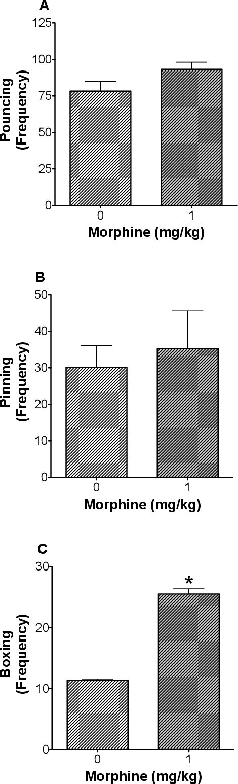 Figure From EFFECTS OF SOCIAL INTERACTION ON MORPHINE CONDITIONED PLACE PREFERENCE IN