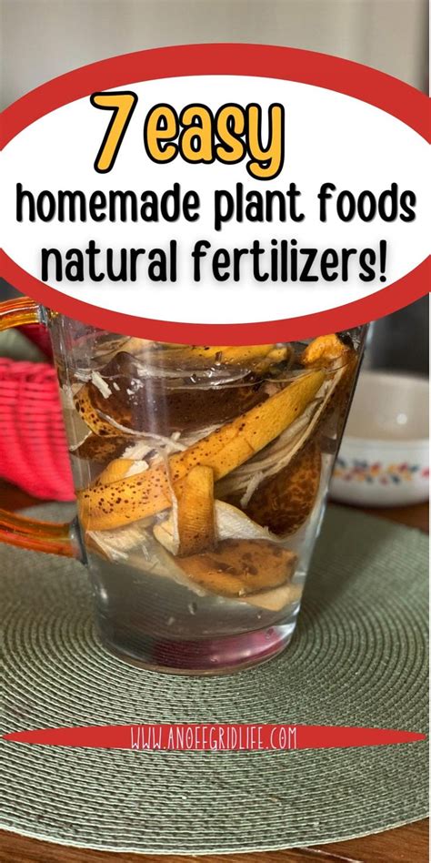 Homemade Plant Food 7 Easy Natural Fertilizer Recipes Video Video