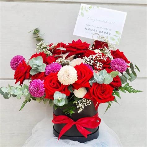 Jual Red Occasion Delovery