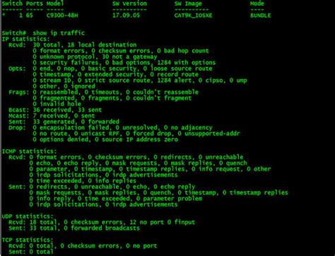 Configure Or Troubleshoot Your Cisco Catalyst Switch By Carlosbustani Fiverr