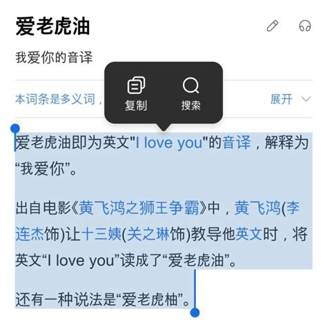 중국 포털 사이트 바이두 어학사전 단어 검색 방법 중국어 사전 사용할때 꿀팁 네이버 블로그