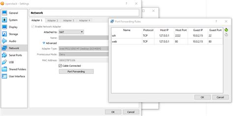 networking how to access server running in virtualbox from the host