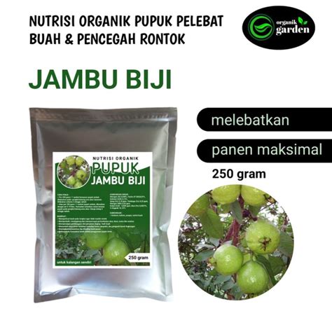Jual Pupuk Pelebat Buah JAMBU BIJI Booster Nutrisi Organik 250 Gram