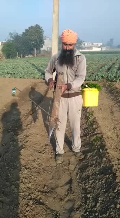 Mohammed Riyazuddin Pmp Posted On Linkedin