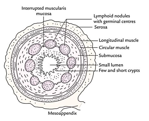 Appendix Earths Lab