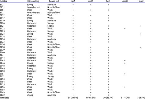 Genotypic And Phenotypic Biofilm Forming Capacity Of Stec Strains Download Scientific Diagram