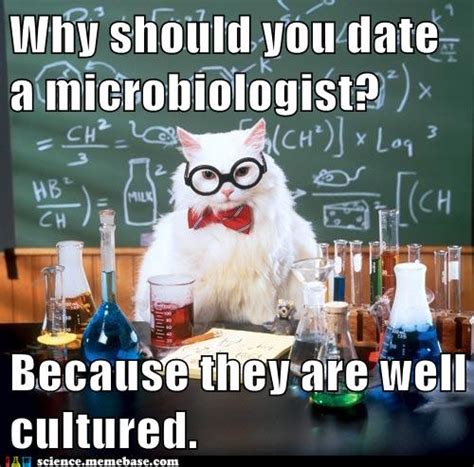They Re Real Women And Men About Town Chemistry Cat Chemistry Humor