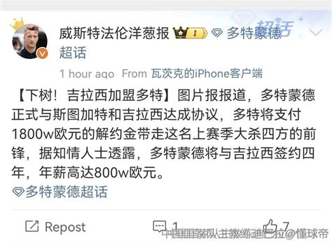 图片报：吉拉西将与多特签31合同，年薪1000万欧元