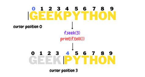 Difference Between Seek Tell And How To Use