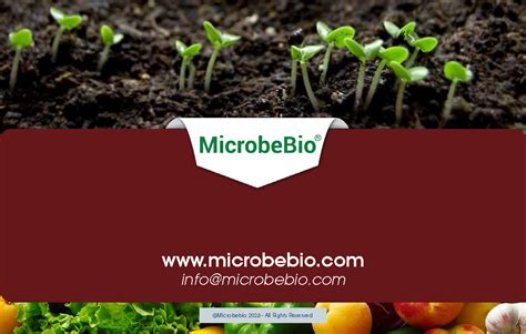 Microbebio Harnessing Microbial Potential For Sustainable Soil Health