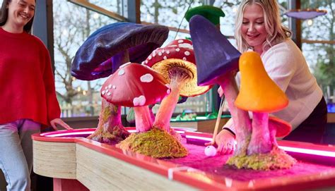 Crazy Pool Center Parcs