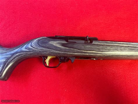 Custom Ruger 10 22 Target Shooting