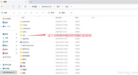 Git远程储存功能的实现windows 配置git密钥 并使用命令行克隆仓库 Csdn博客