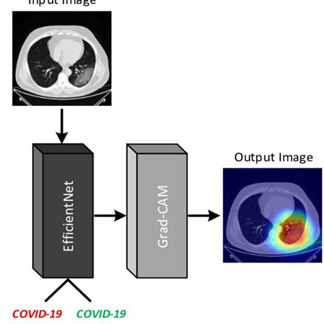 The Proposed Approach To The Grad Cam Algorithm Download Scientific