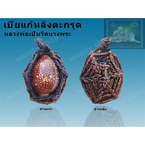 เบี้ยแก้ เบี้ยแก้หลังตะกรุด เบี้ยแก้หลวงพ่อเปิ่นวัดบางพระ Thai Amulet