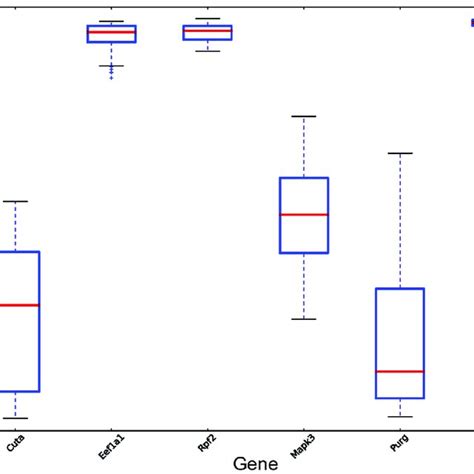 Boxplot Of The Correlation Values Of The Feature Vectors Obtained From
