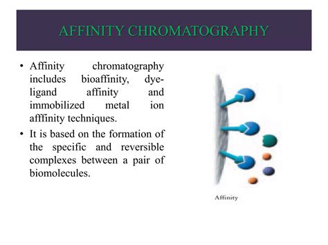 Basics Of Chromatographyppt