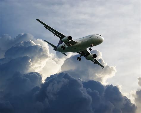 Proline Performance Adhesive Materials Distributor