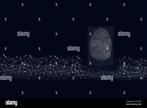 Fingerprint Scan Provides Security Access On Dark Blue Background