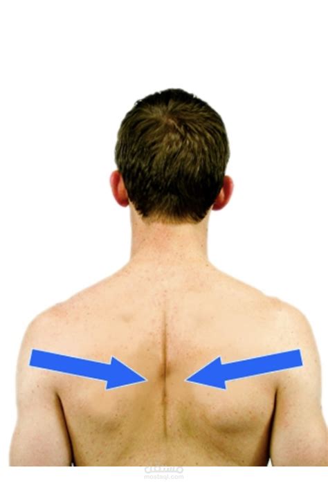 Scapular Exercise مستقل