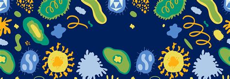 Virus Product Library Brain Case