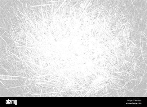 Green Grass Texture With Natural Patterns View From Above Can Be Used