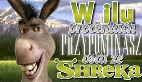 W Ilu Przypominasz Osła Ze Shreka Samequizy