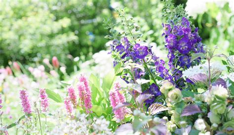 夏の花壇 おしゃれ 花壇 夏に強い花 【2026年最新】芝生 クッションの人気アイテム Pdiexg
