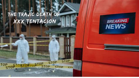 Write Engaging And Professional Scripts For Your Projects By Otaniyi