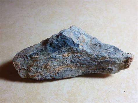 Fossil And Rock Identification Page