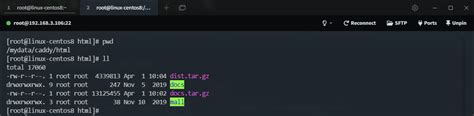 超越 Nginx，号称下一代 Web 服务器，用起来够优雅~2023 有比nginx更好 Csdn博客