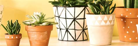 Consejos Y Trucos Para Cuidar Debidamente Las Plantas De Interior
