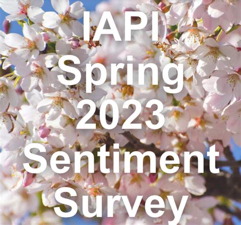 Check The Iapi Sentiment Survey 2023 Eaca
