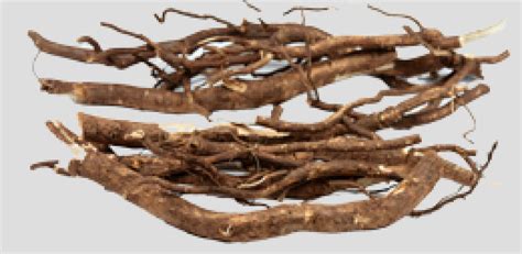 Siberian Ginseng Powder Organic Ekowarehouse