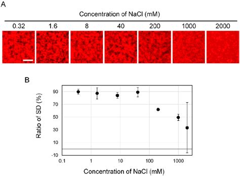 Influence Of Salt Concentration On Aβ 42 Aggregation A Nacl Solution
