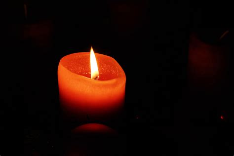 Free Images Light Flower Petal Orange Red Romantic Darkness