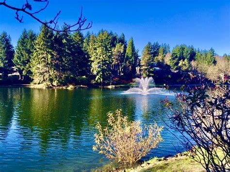 6347 137th Ave Ne 6347 137th Ave Ne Redmond Wa 98052 Apartment Finder
