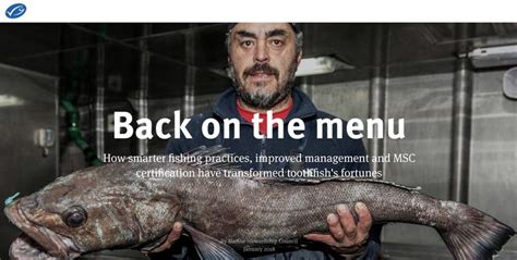 How Smarter Fishing Practices Improved Management And Msc