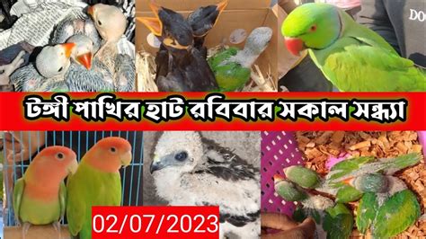টঙ্গী পাখির হাট Tongi Pakhir Hat হাটে প্রচুর বৃষ্টি হাটে প্রচুর পরিমানে