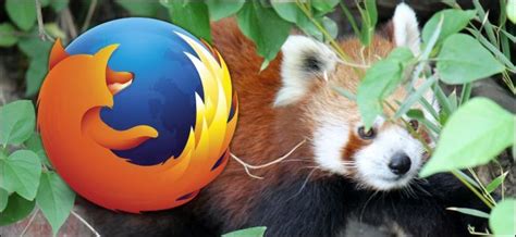 How To Optimize Mozilla Firefox For Maximum Privacy