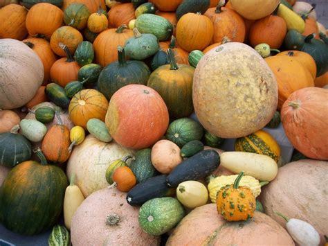 Безплатна снимка растение плодове храна жътва продукция зеленчук